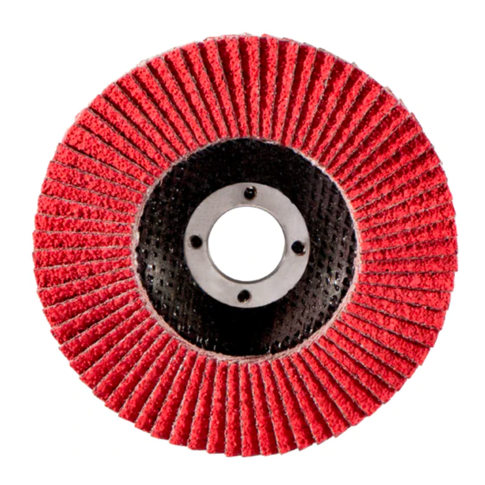 Flap Discs